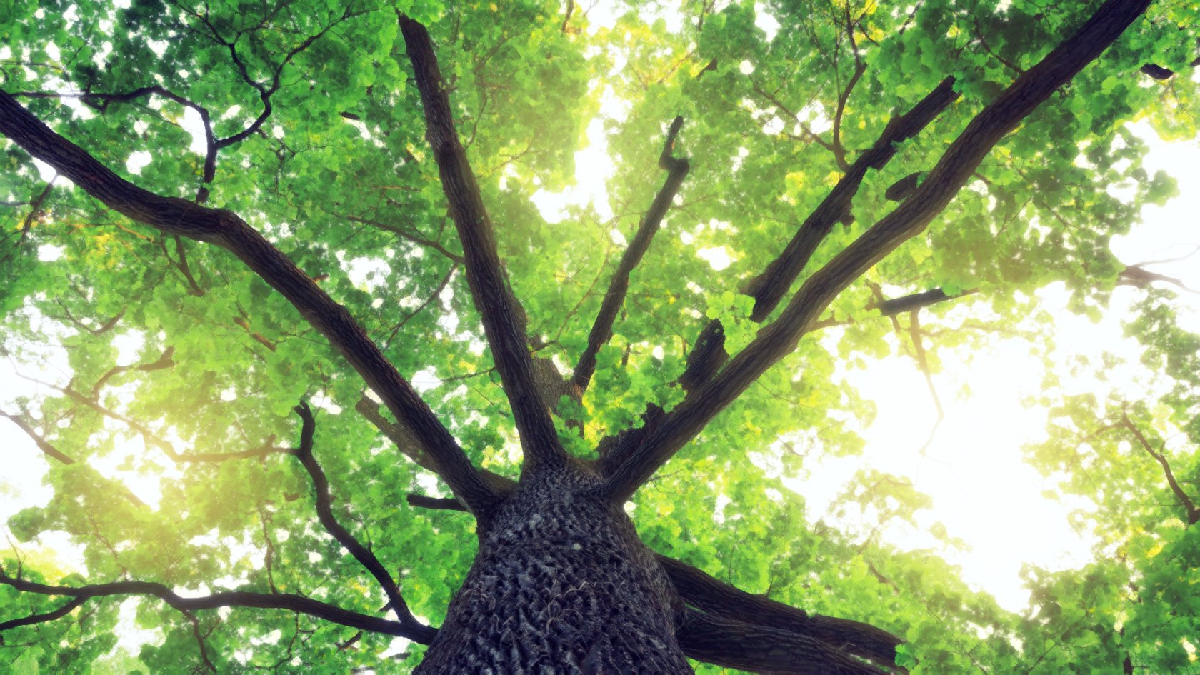 Heritage WinnipegSignificant Historical, Natural, and Cultural Site ...